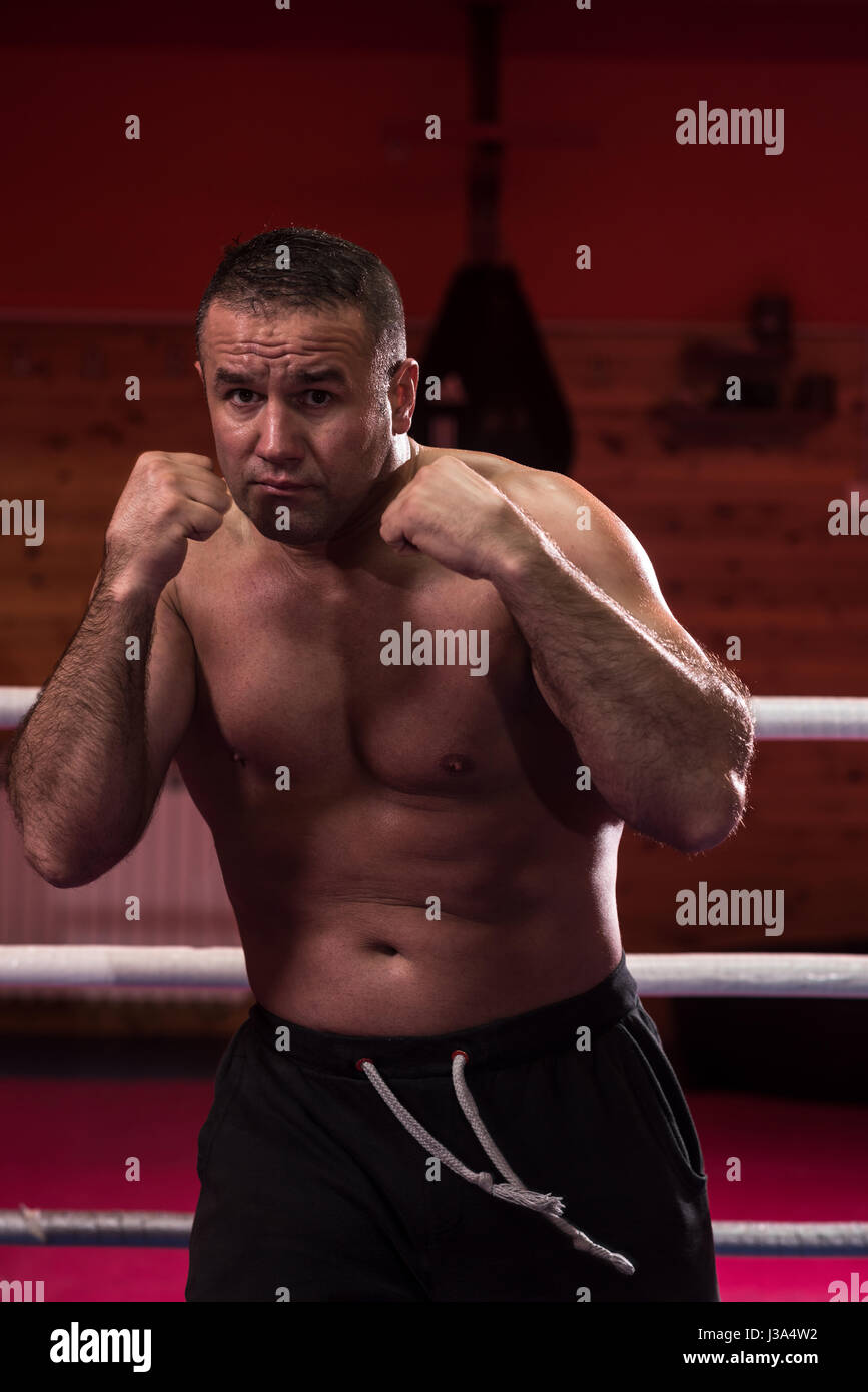 professional kickboxer with hands in martial arts position training for ...