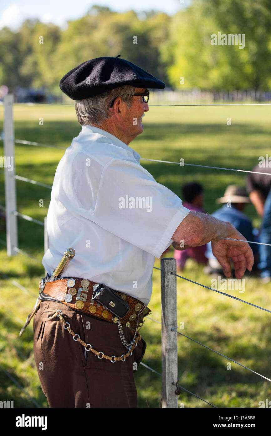 Man taming a horse hi-res stock photography and images - Alamy