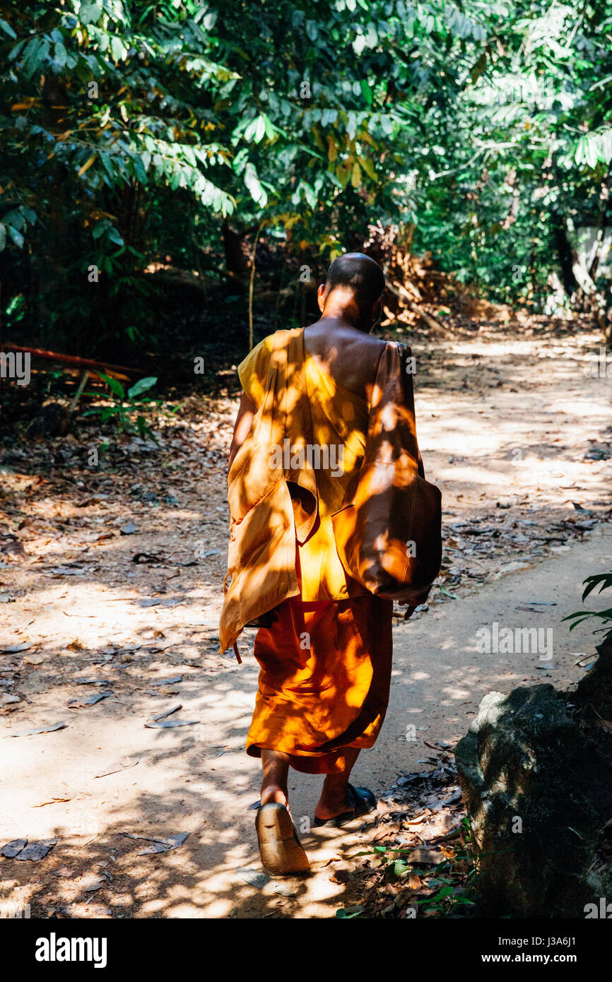 Asia monk walk hi-res stock photography and images - Alamy