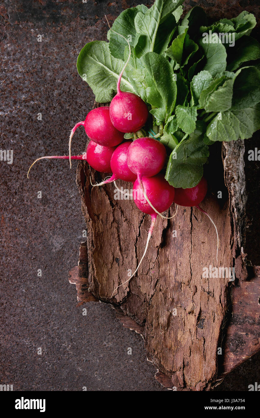 Fresh radish bundle Stock Photo - Alamy