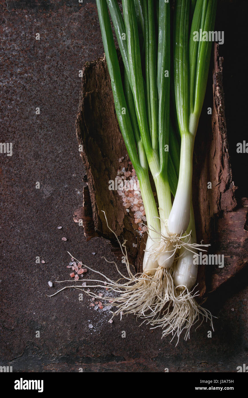 Fresh spring onion bundle Stock Photo - Alamy