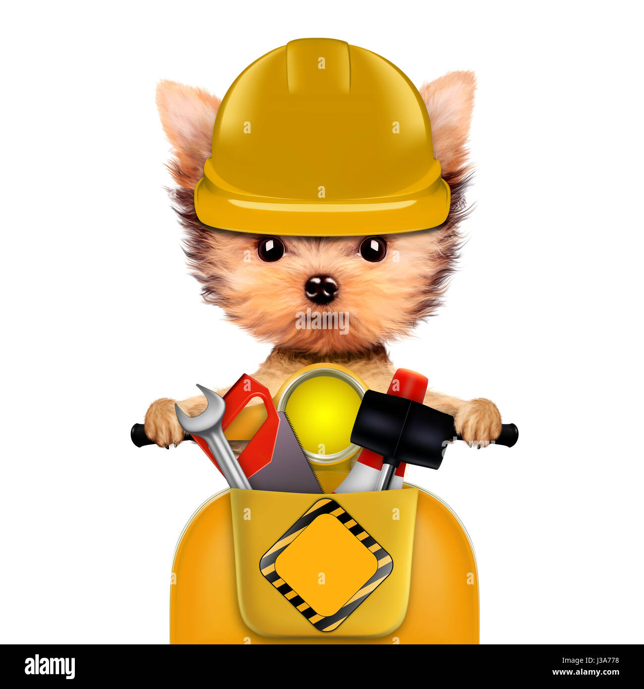 Funny dog with construction tools isolated on white Stock Photo - Alamy