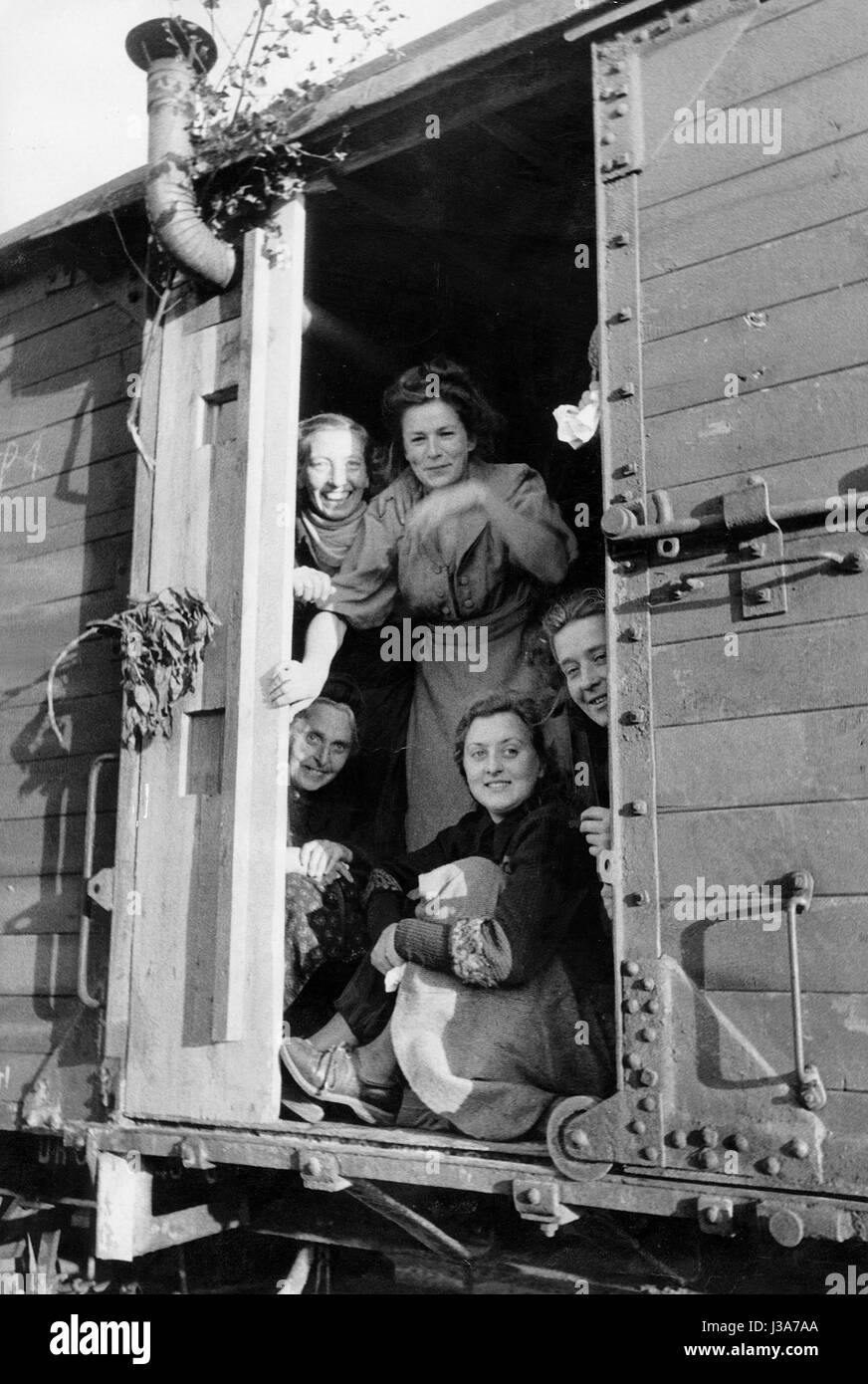 Captivity return hi-res stock photography and images - Alamy