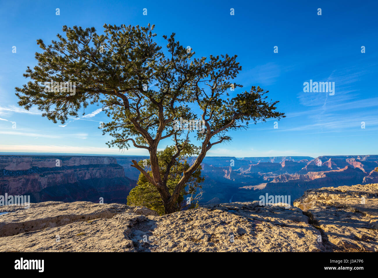 beautiful grand canyon Stock Photo - Alamy