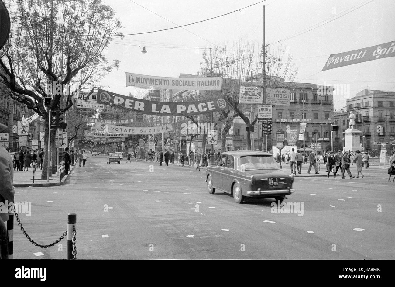 Trees on city streets Black and White Stock Photos & Images - Alamy