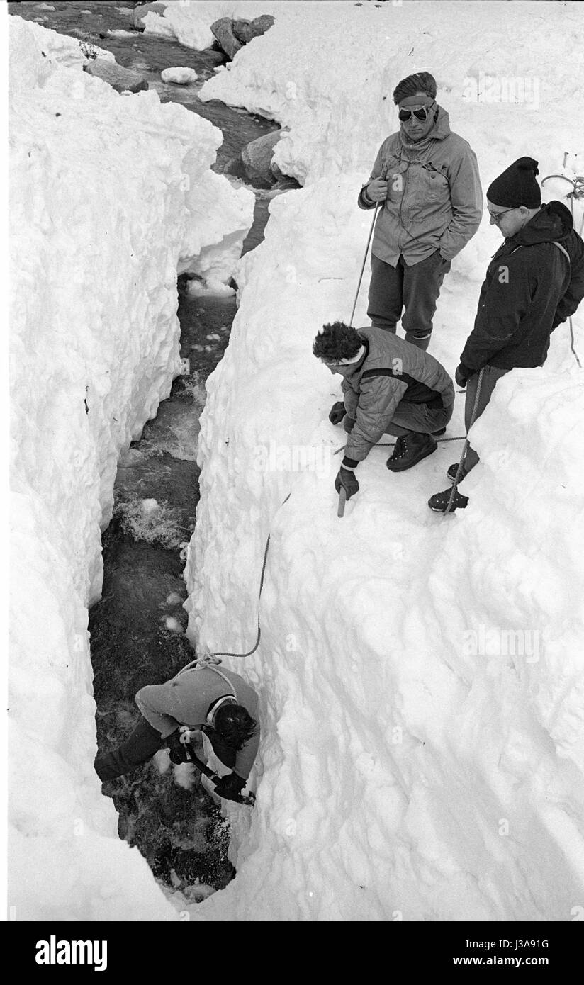 The rescuers hi-res stock photography and images - Alamy