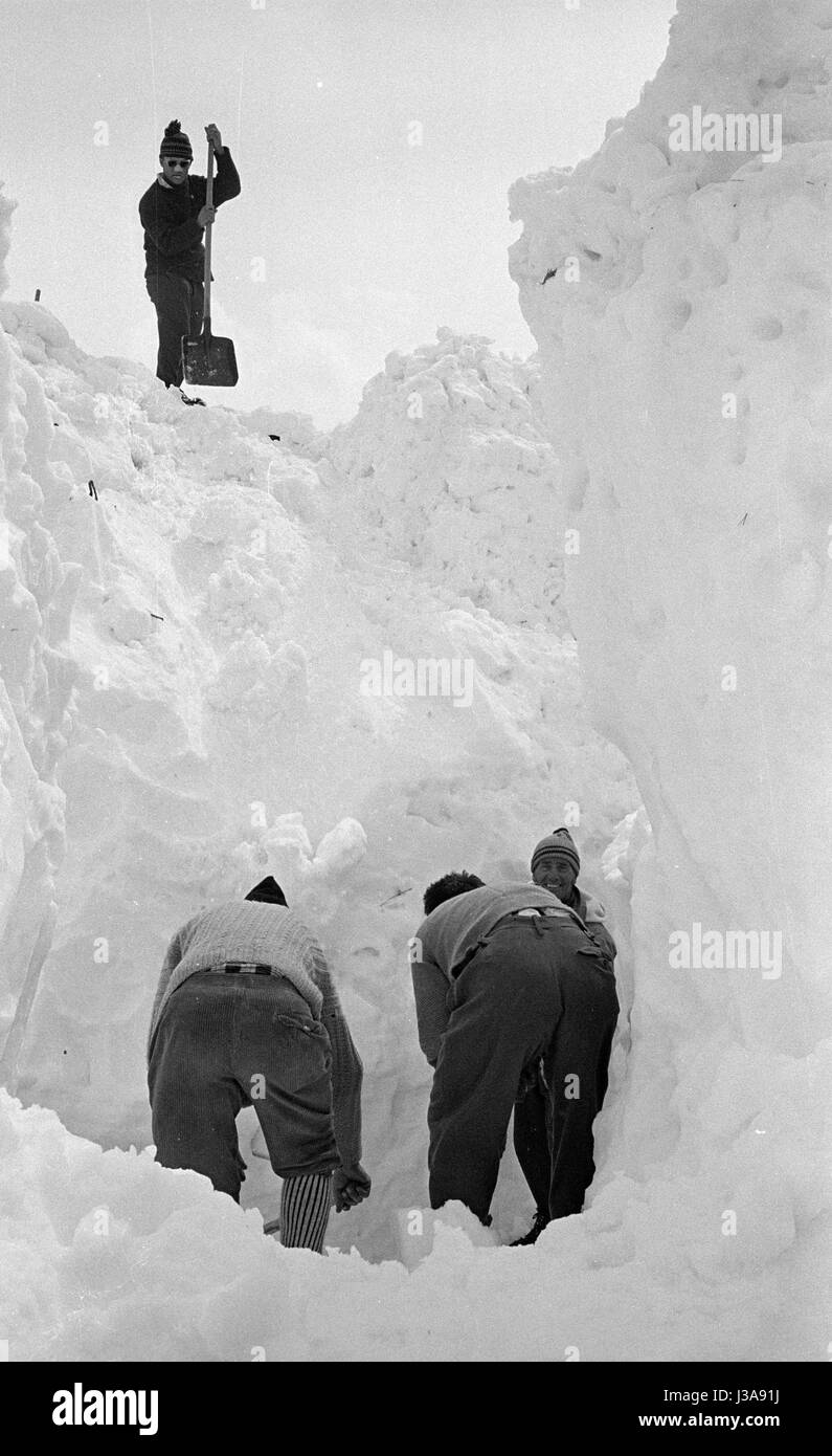 The rescuers hi-res stock photography and images - Alamy