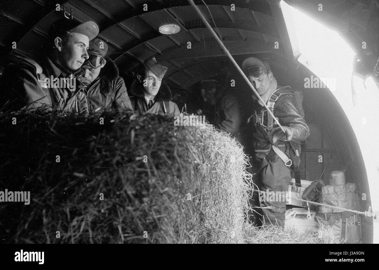 """Hay airlift"" for endangered wild animals in the Bavarian Mountains ...