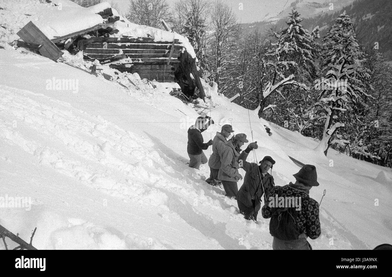 A rescue team with probes searching for survivors of the avalanche ...