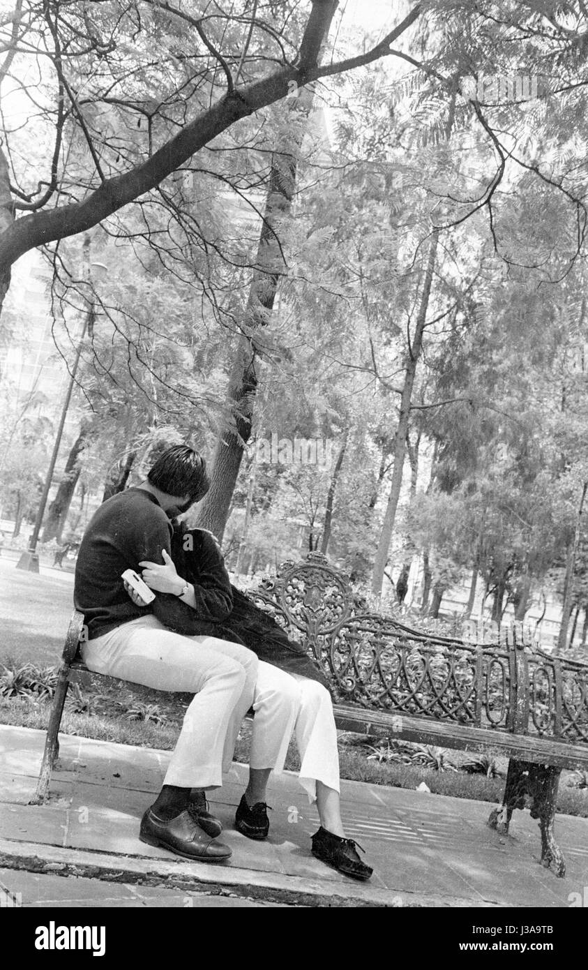 Small trees on street Black and White Stock Photos & Images - Alamy