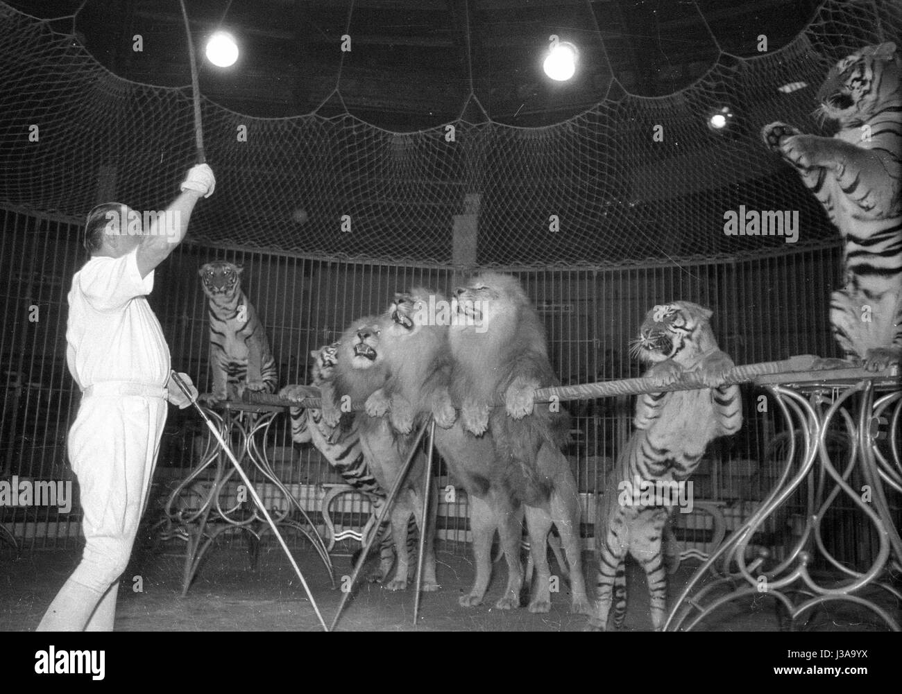Circus program with predators, 1954 Stock Photo - Alamy