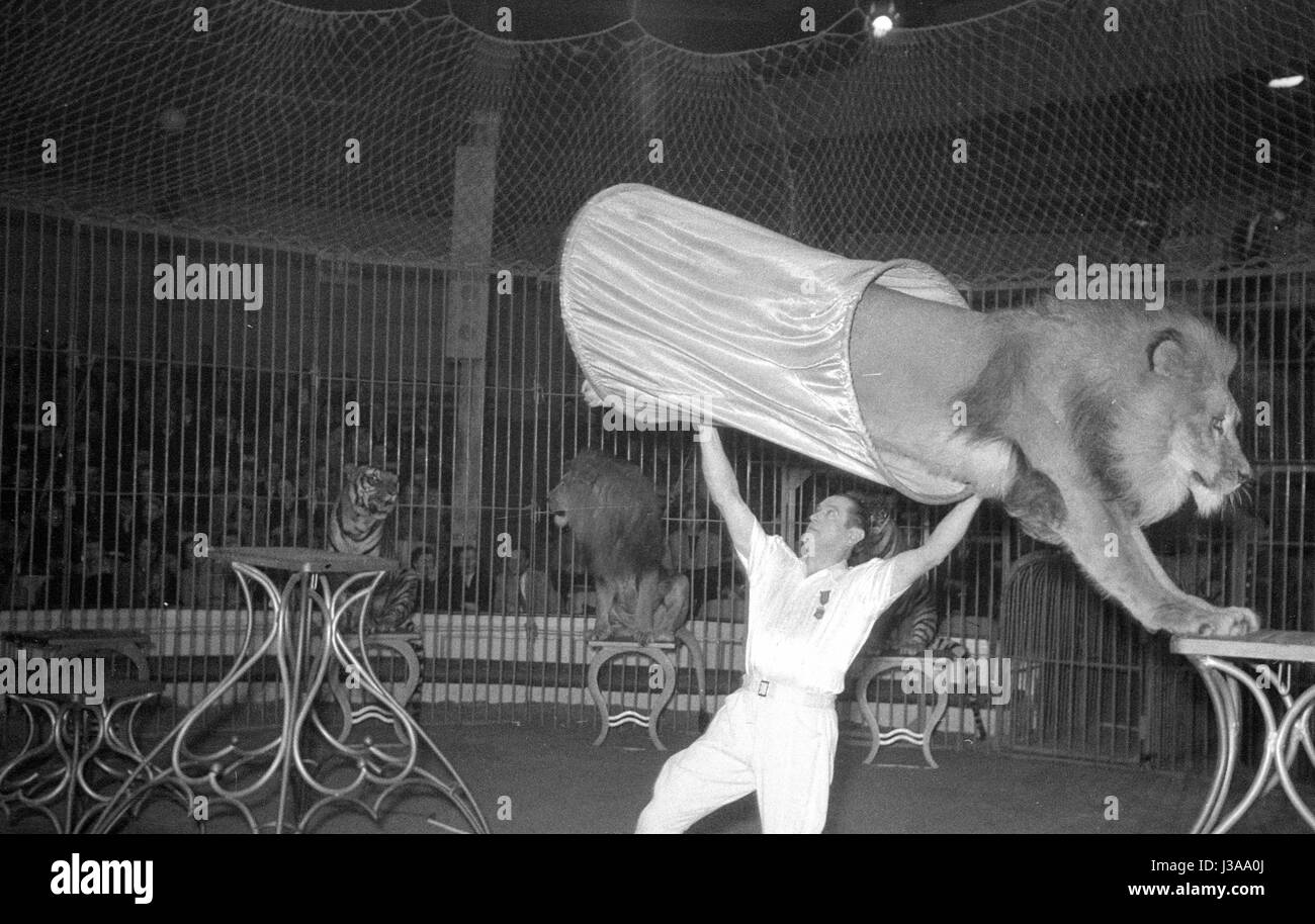 Circus program with predators, 1954 Stock Photo - Alamy