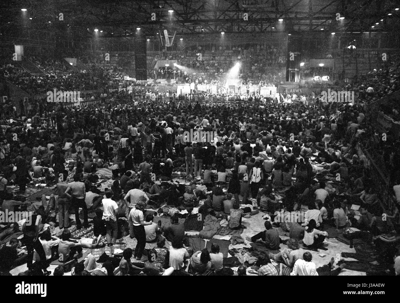 Crowd at a rock festival in Munich, 1970 Stock Photo - Alamy