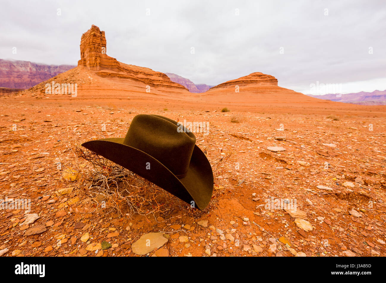cowboy in american desert Stock Photo - Alamy