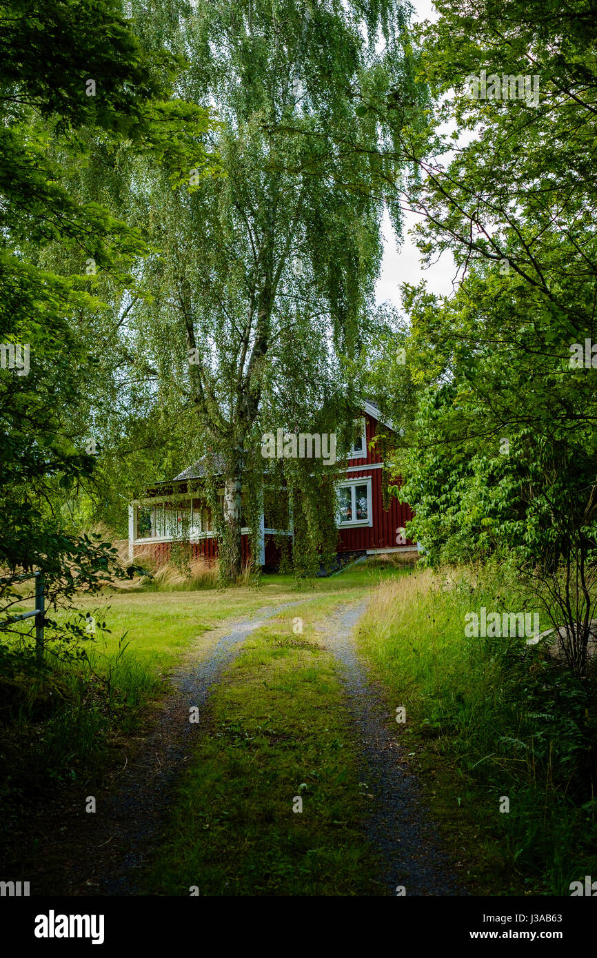 red house in the forest Stock Photo - Alamy