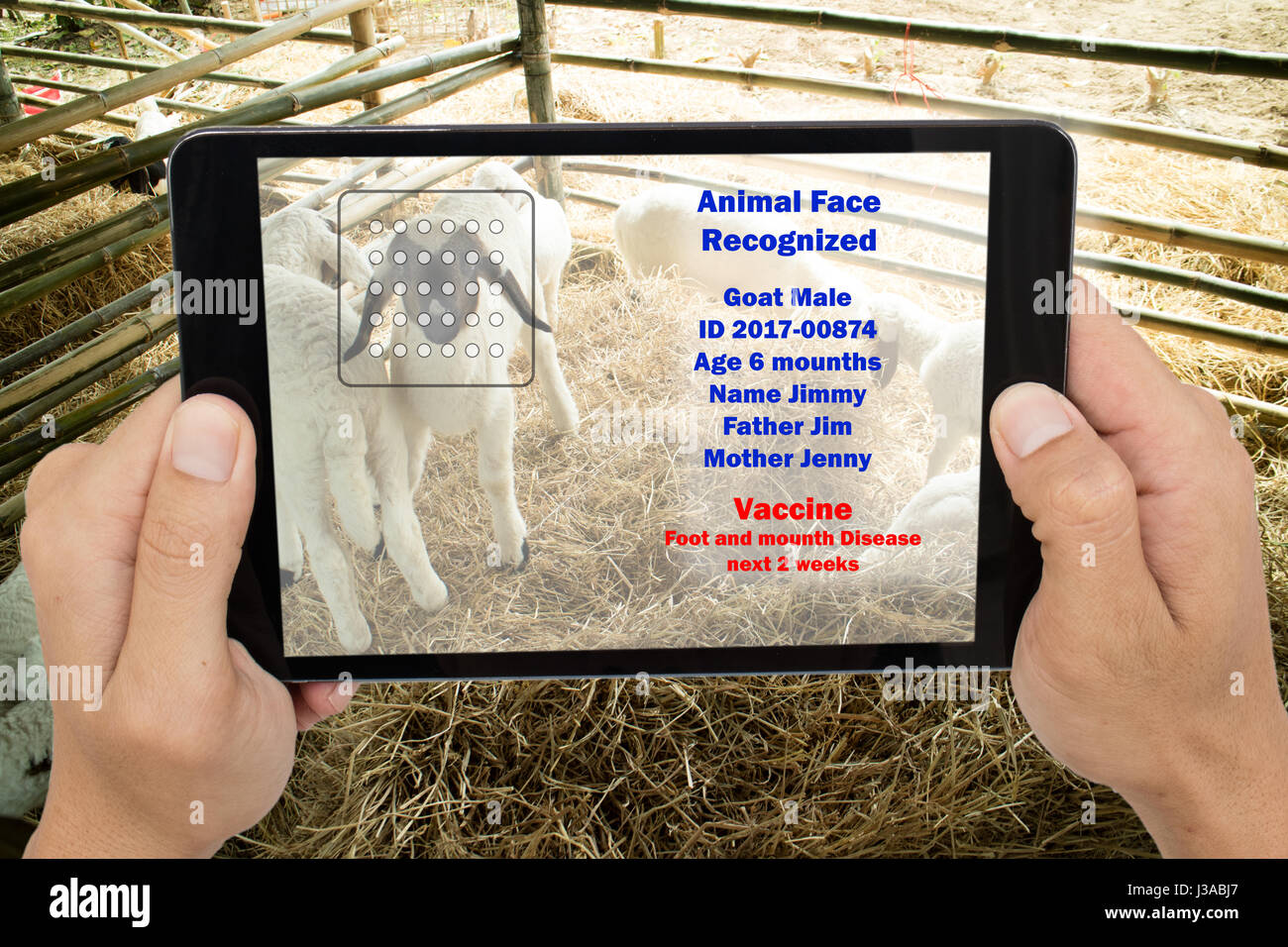 internet of things agriculture concepts,farmer use face recognition ...