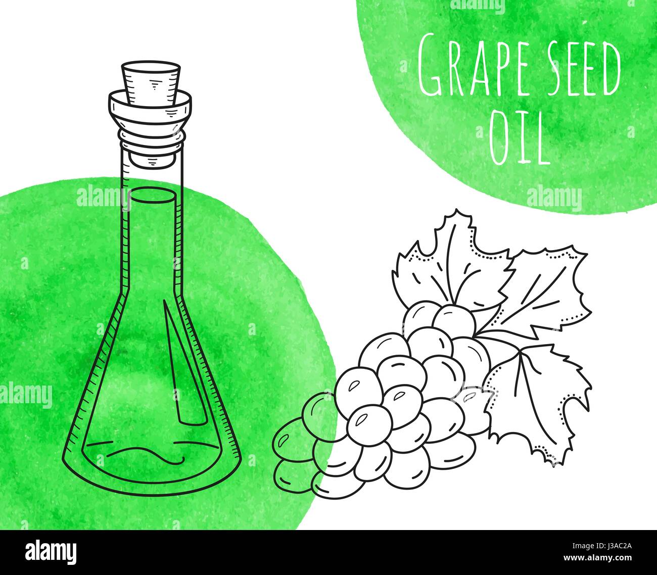 Bottle natural grape seed Stock Vector Images - Alamy