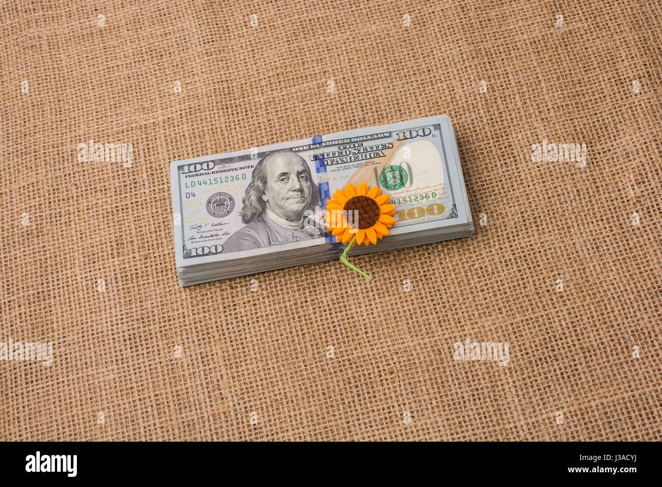 Fake flower placed on the banknote bundle of US dollar Stock Photo - Alamy