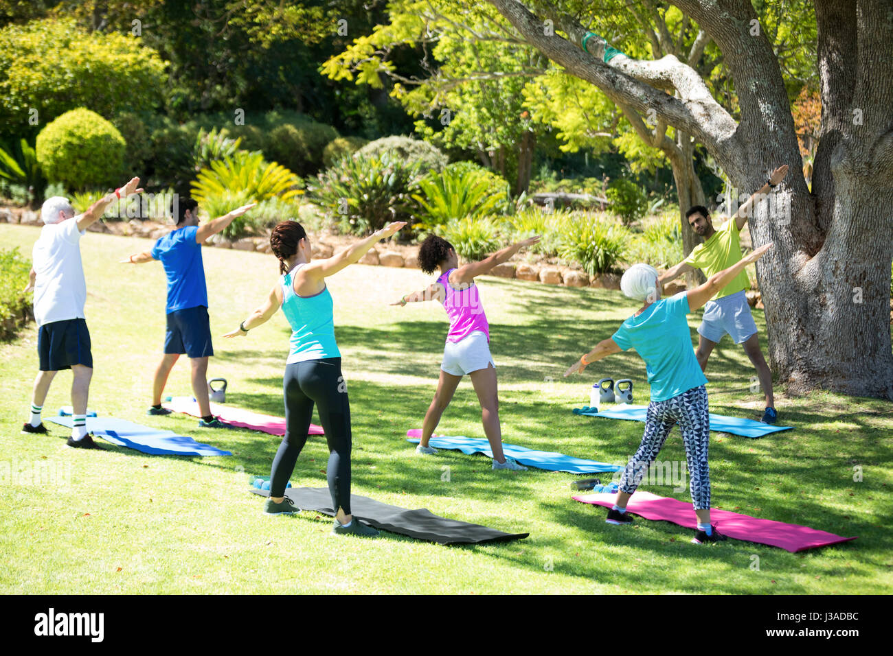 Group of people performing stretching exercise in the park on a sunny ...