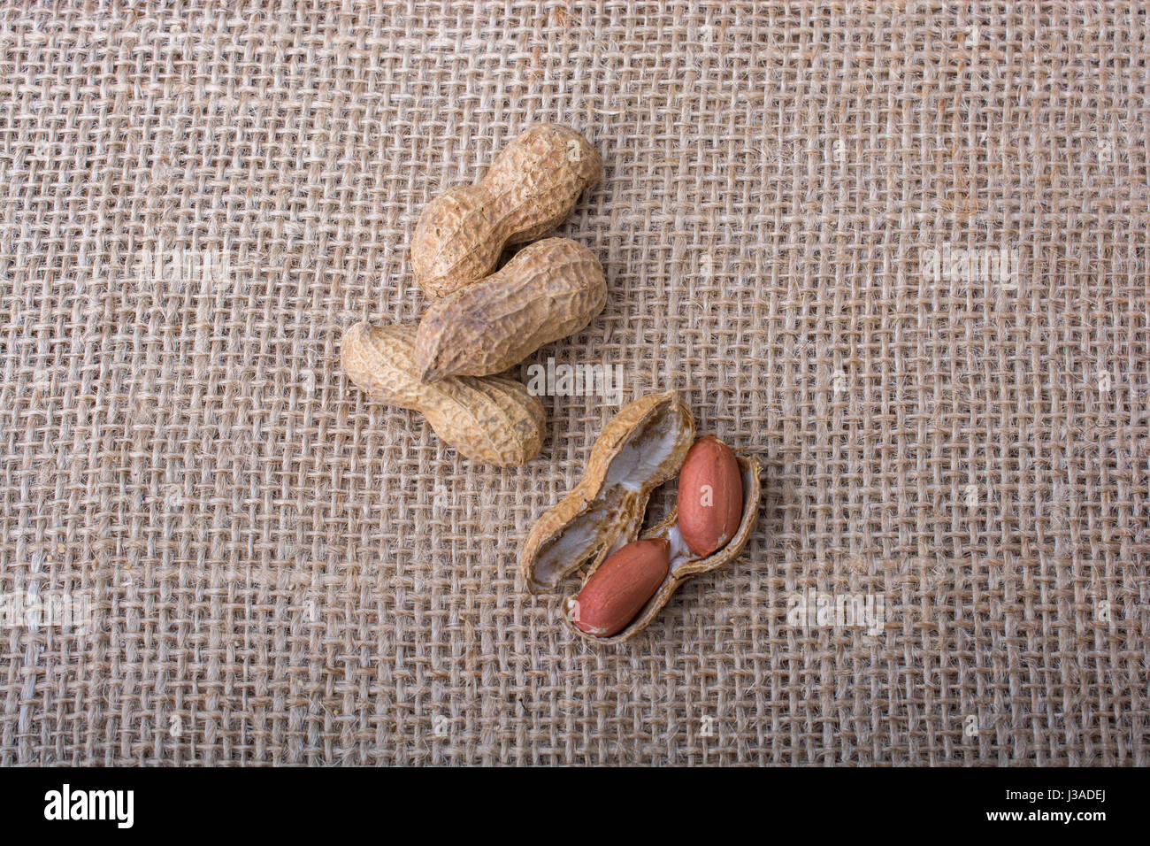 Cracked open peanuts with shell on a linen canvas background Stock ...