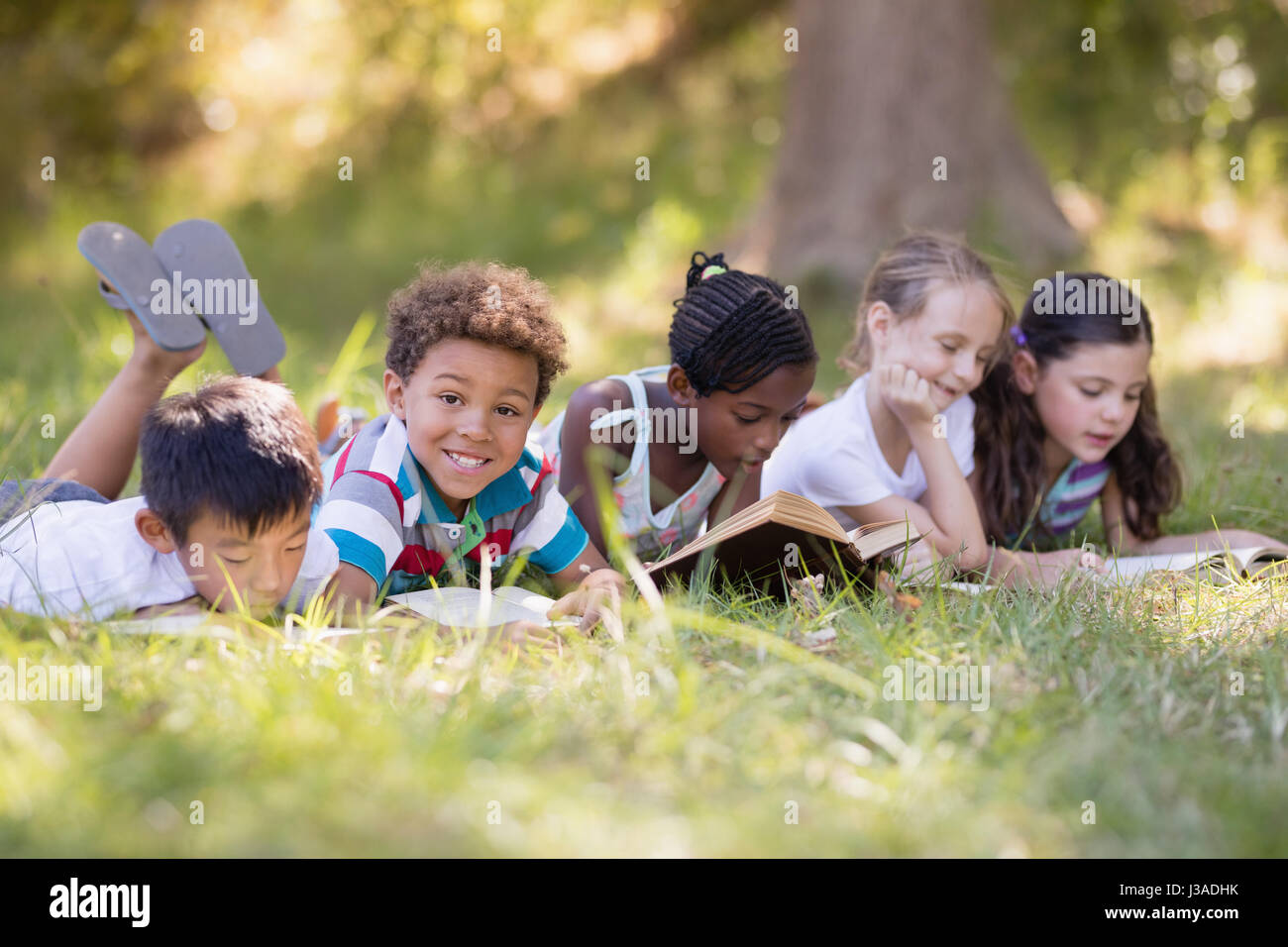 Group of friends reading book on grassy field at campsite Stock Photo ...