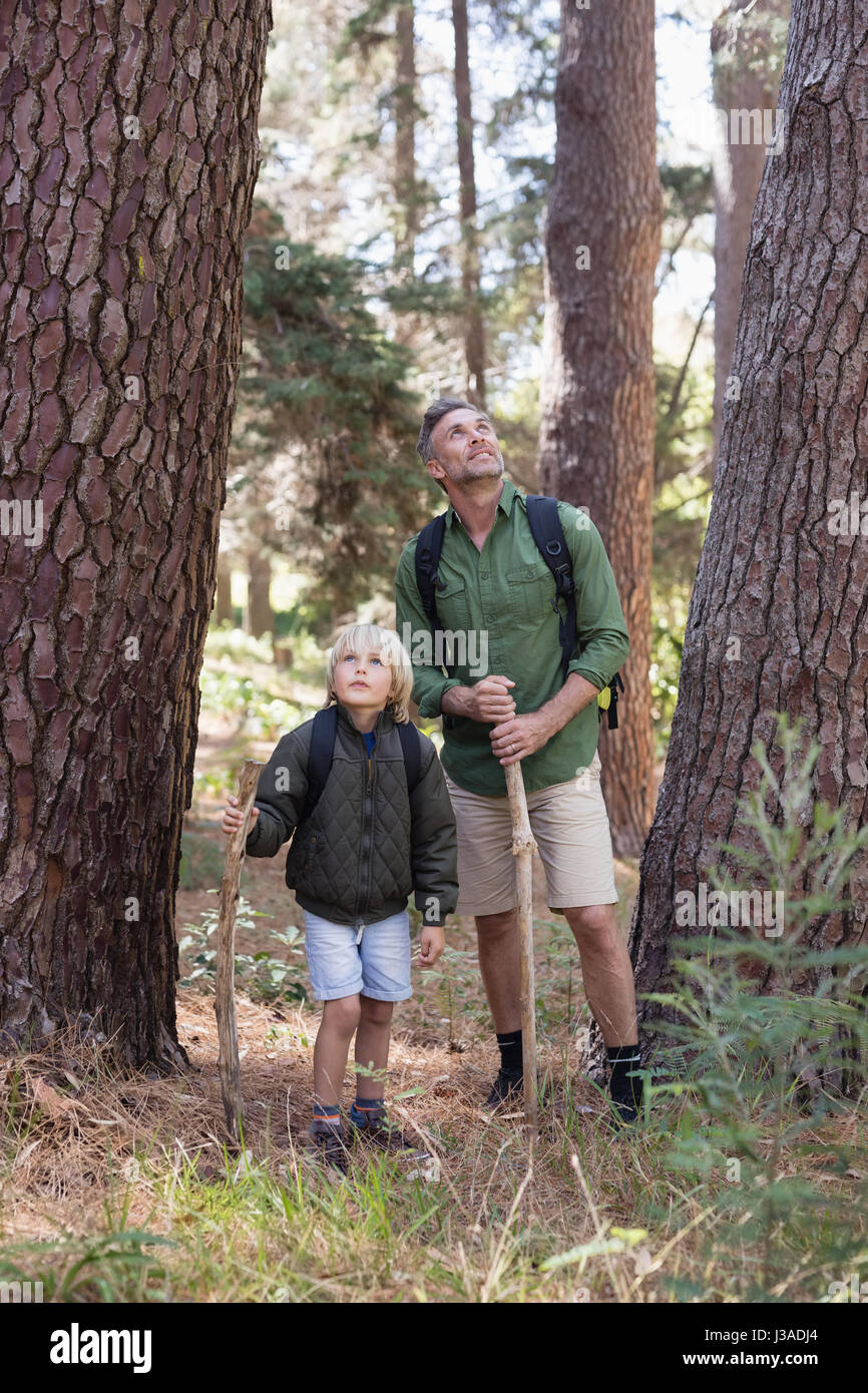 Full length of father and son discovering nature in forest Stock Photo ...