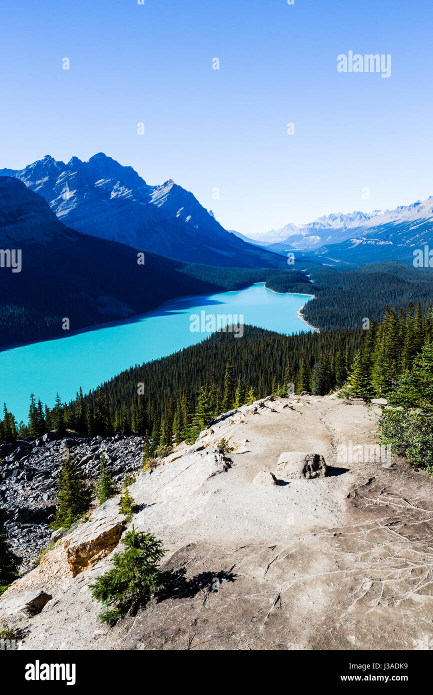 Peyto Lake is a glacier-fed lake located in Banff National Park in the ...