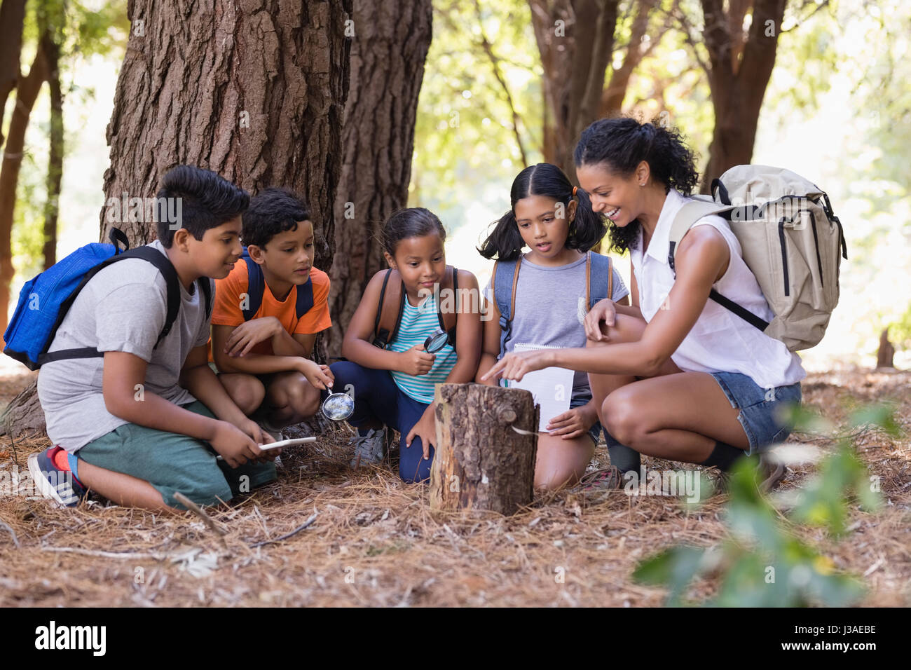 Happy students and teacher examinig tree stump in forest Stock Photo ...