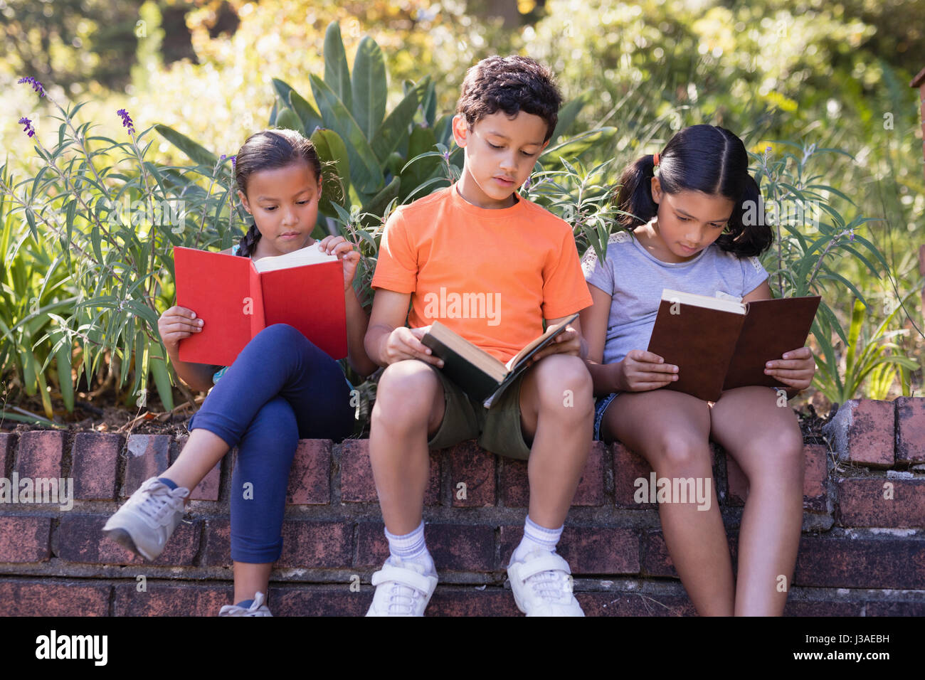Group of friends reading books while sitting on retaining wall at ...