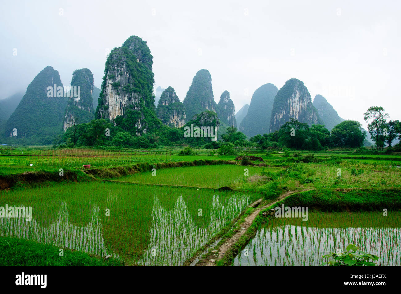 Beautiful karst mountains and countryside scenery in spring Stock Photo ...