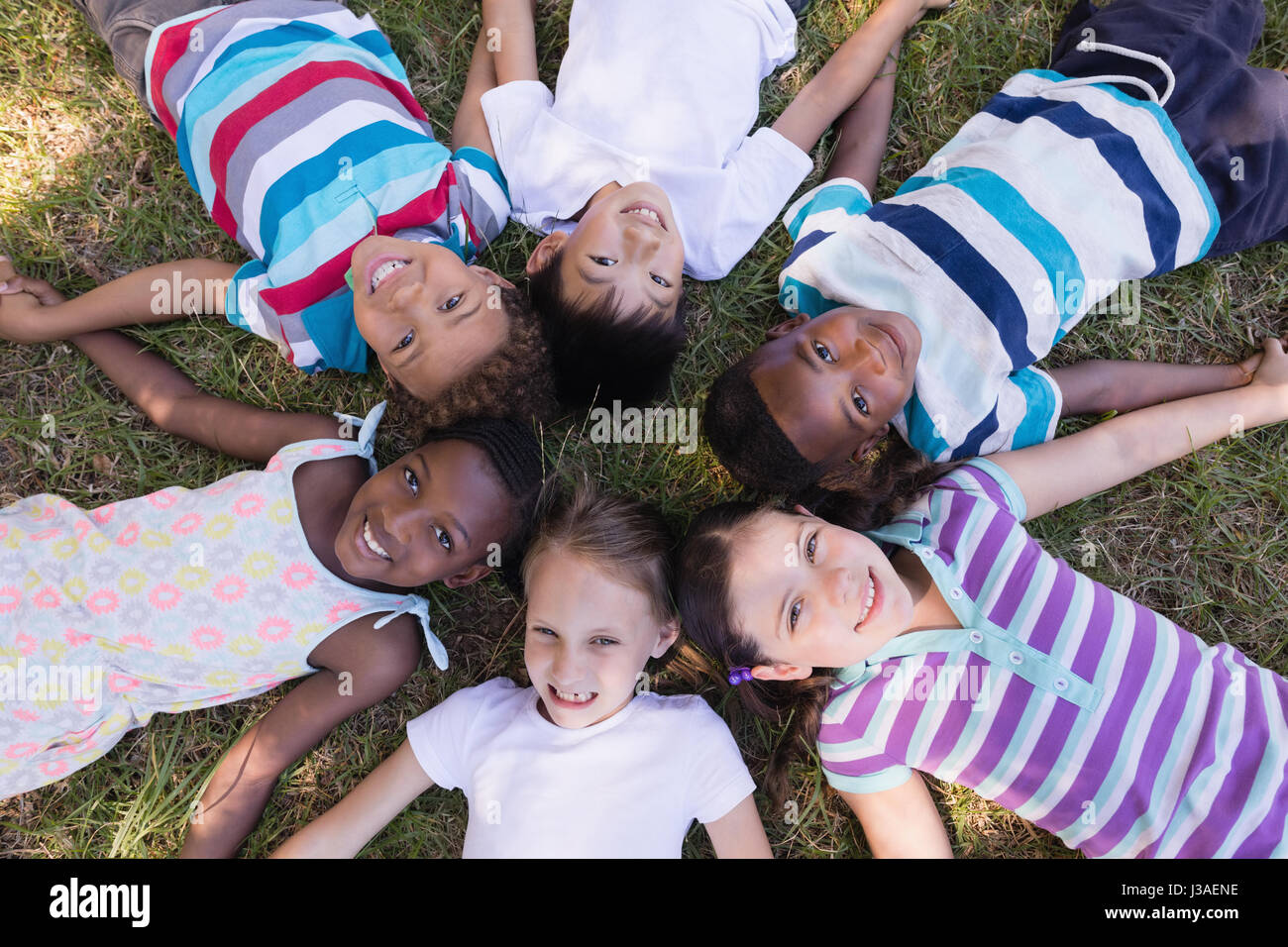 High angle portrait of smiling friends lying on grassy field in forest ...