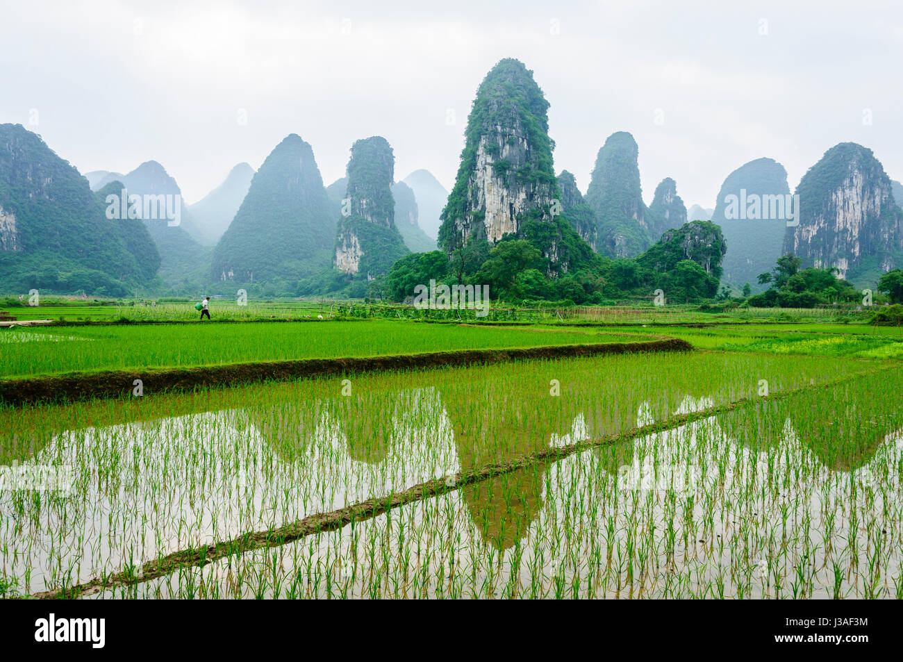 Beautiful karst mountains and countryside scenery in spring Stock Photo ...