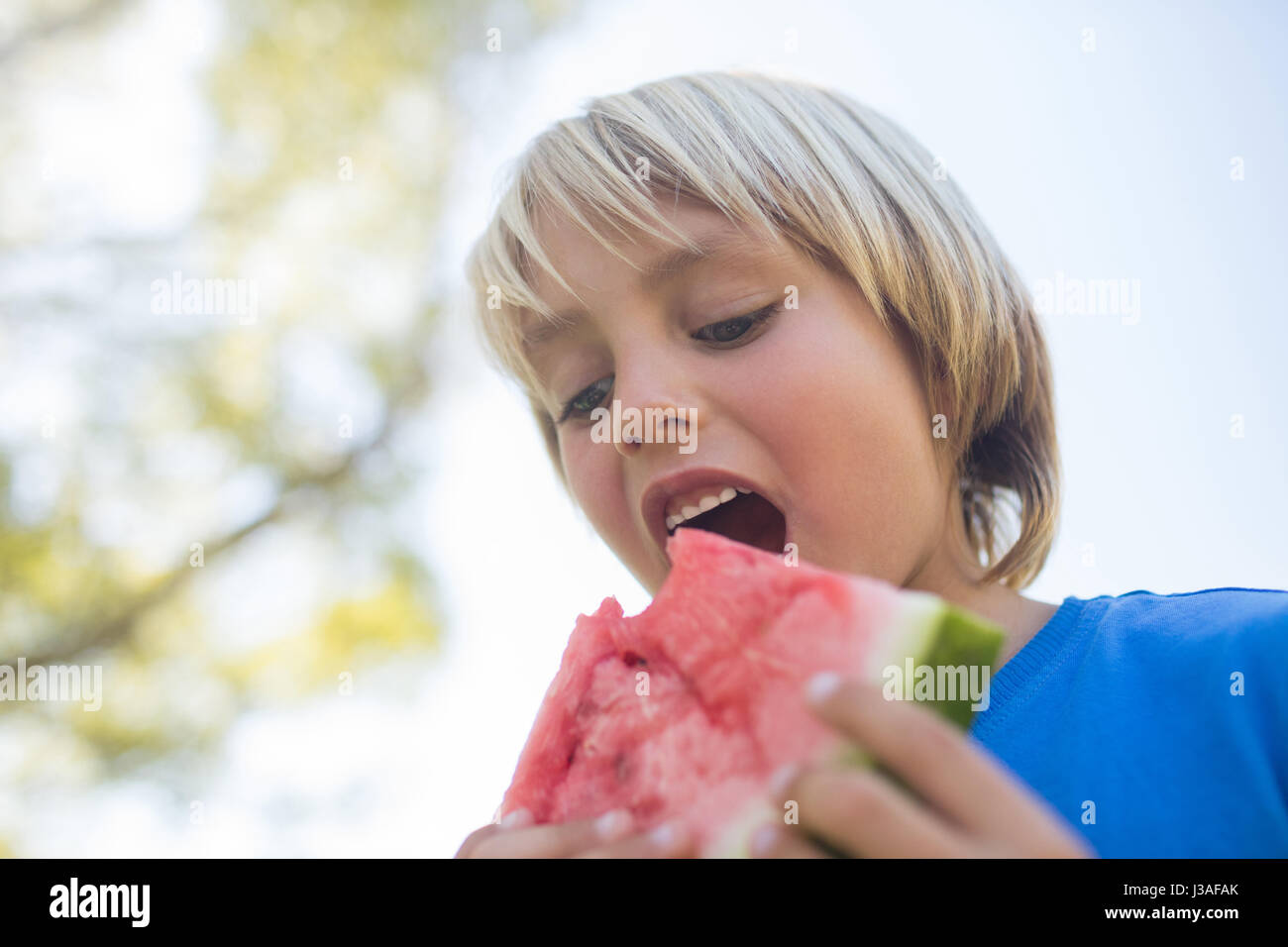 Close-up of boy having watermelon in the park Stock Photo - Alamy