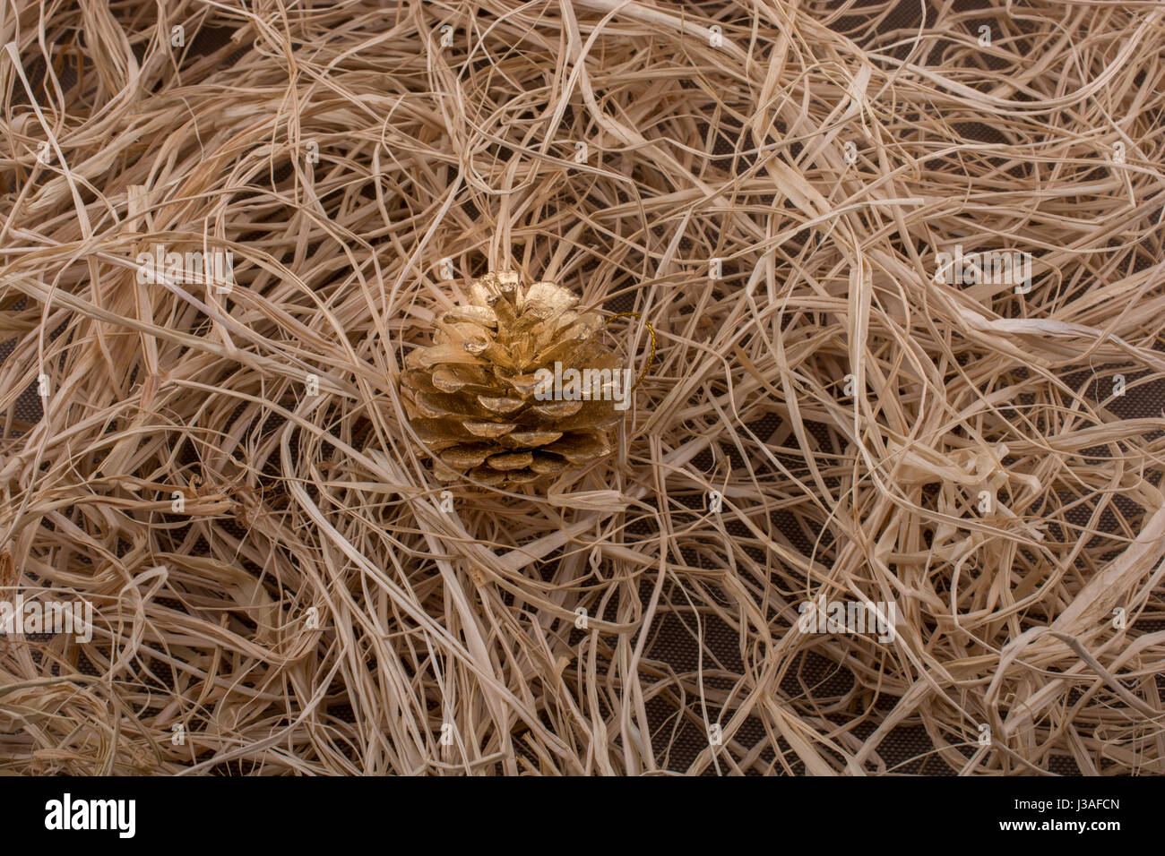 Pine cone on a brown straw background Stock Photo - Alamy