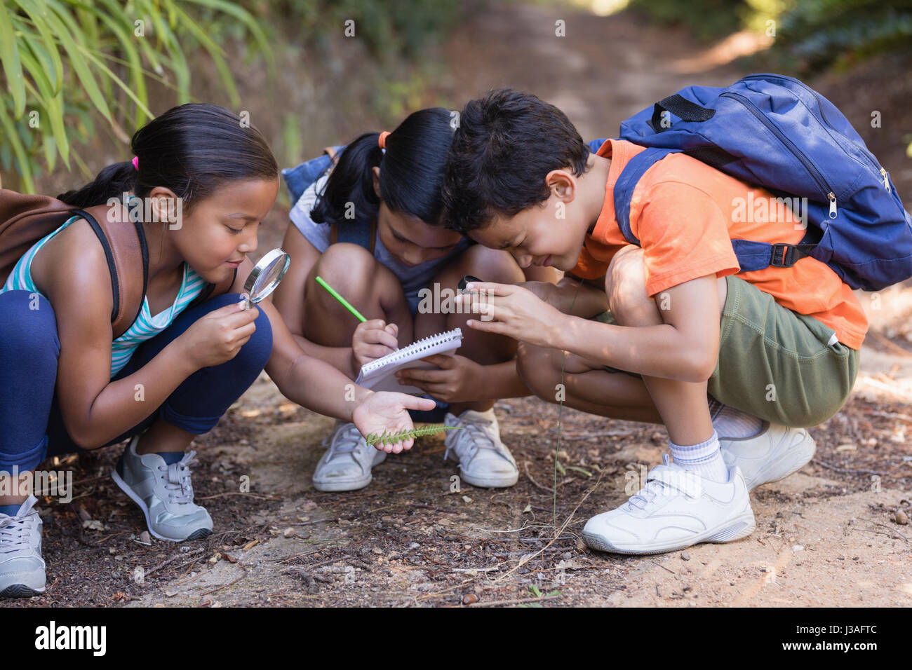 Group of friends exploring nature at natural parkland Stock Photo - Alamy