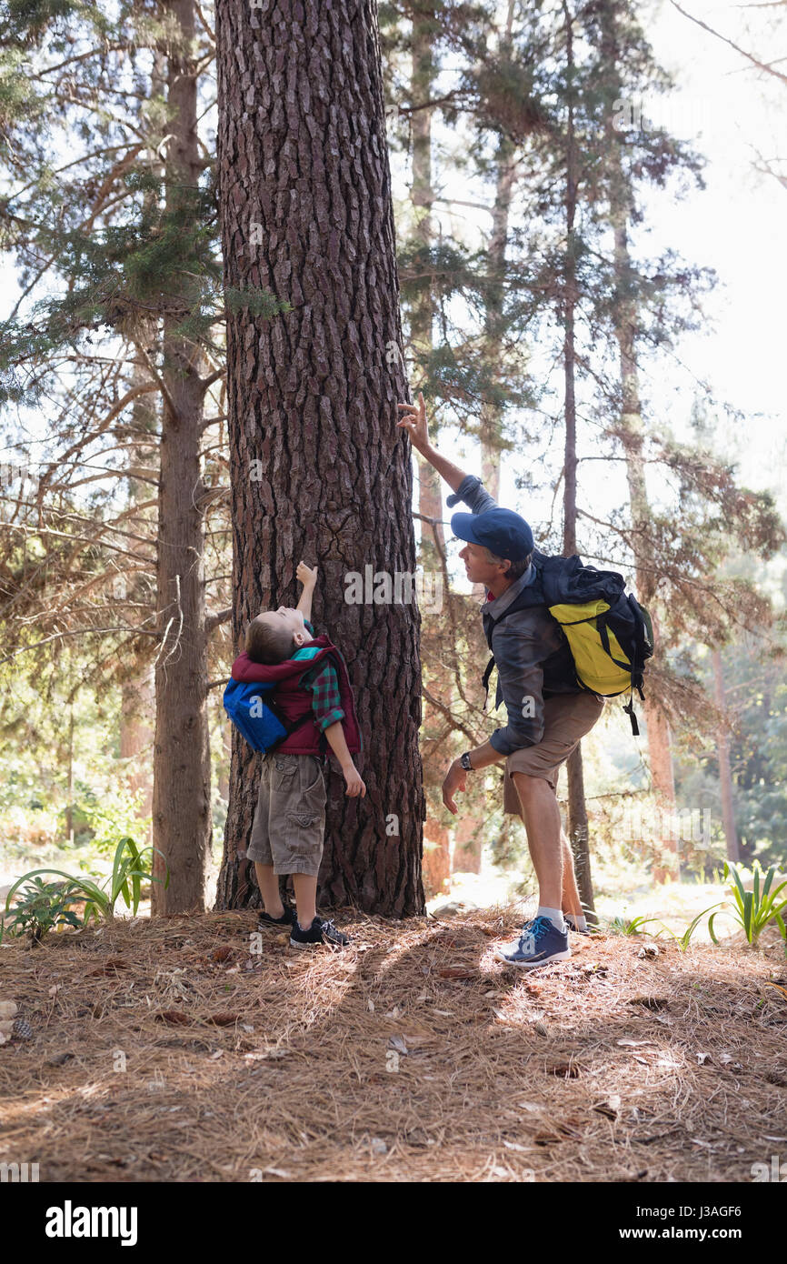 Boy standing in forest hi-res stock photography and images - Alamy