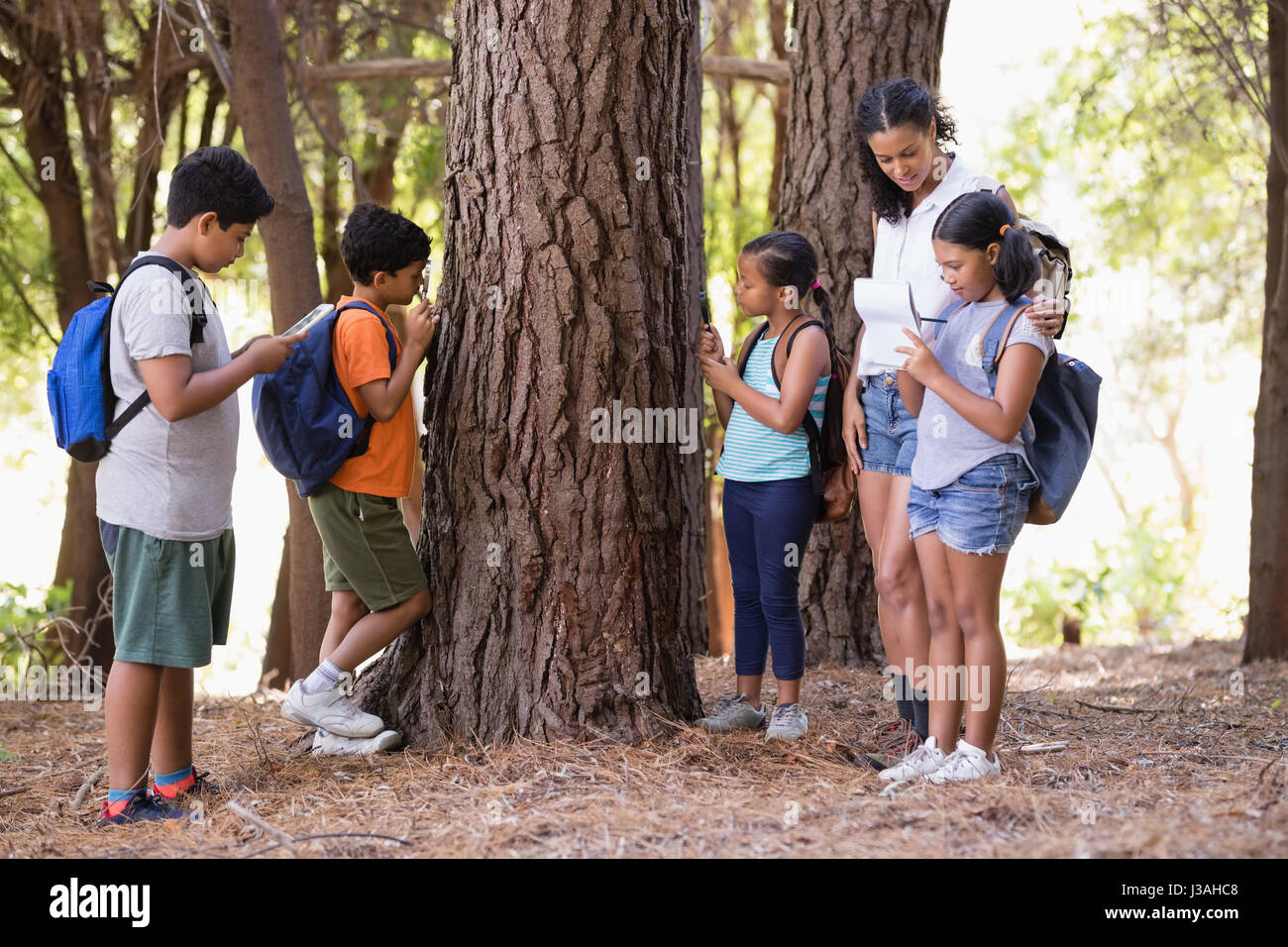 Students examining tree trunk with teacher in forest during field trip ...