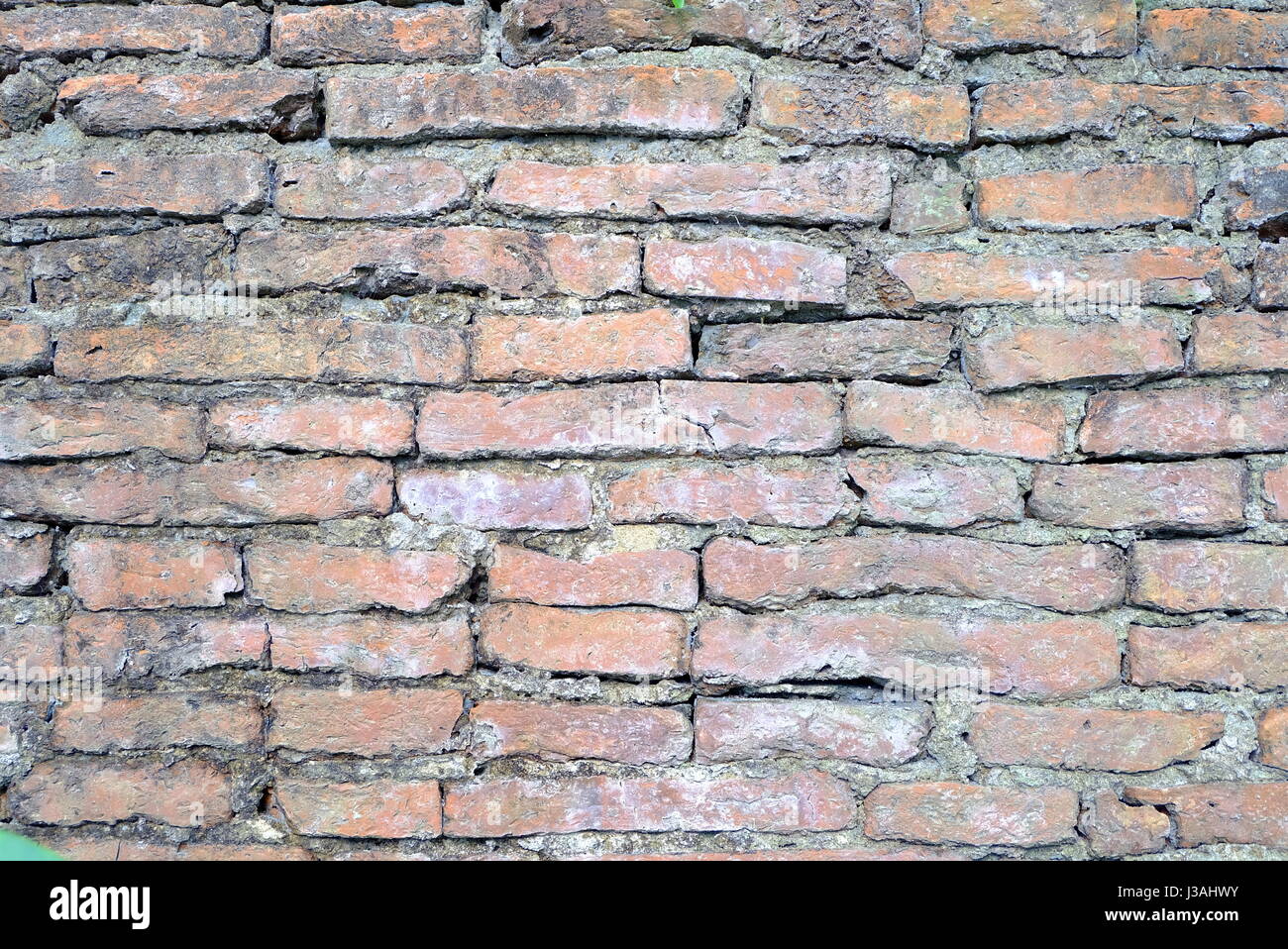 Cement Wall Background Stock Photo - Alamy