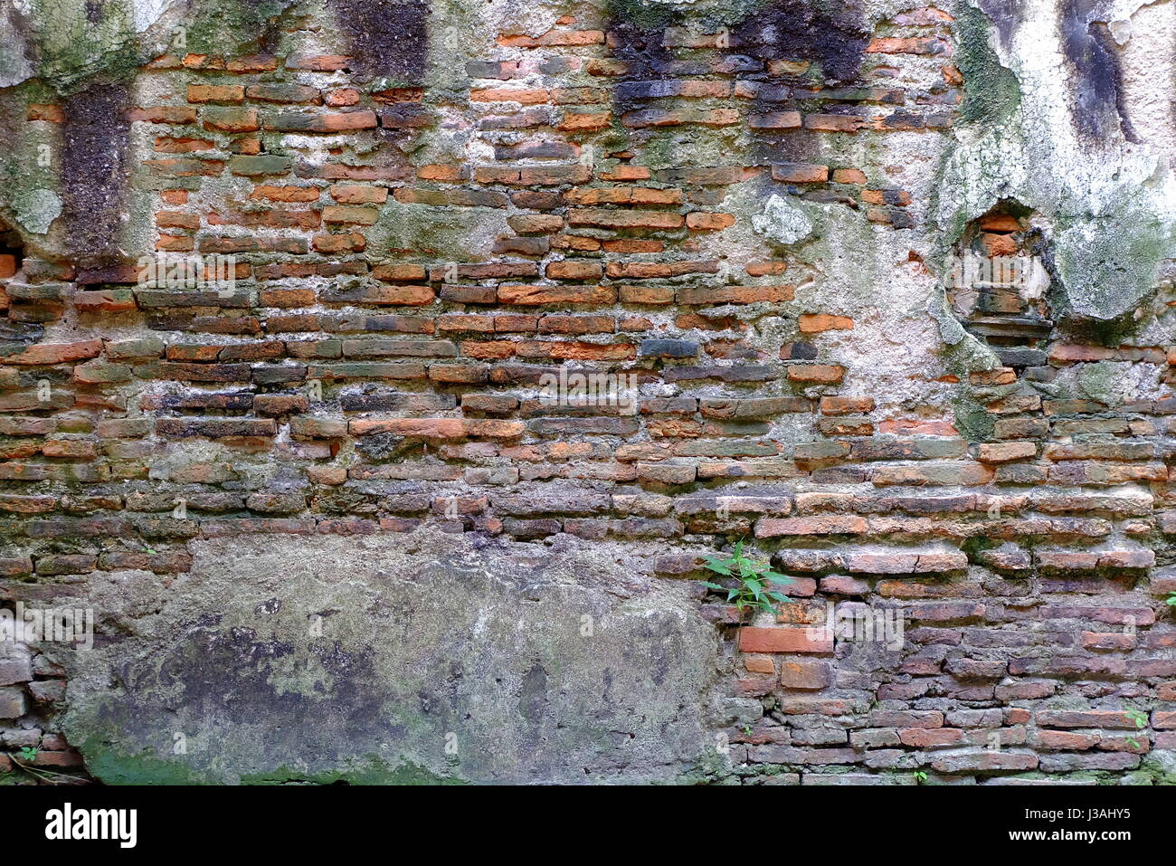 Cement Wall Background Stock Photo - Alamy