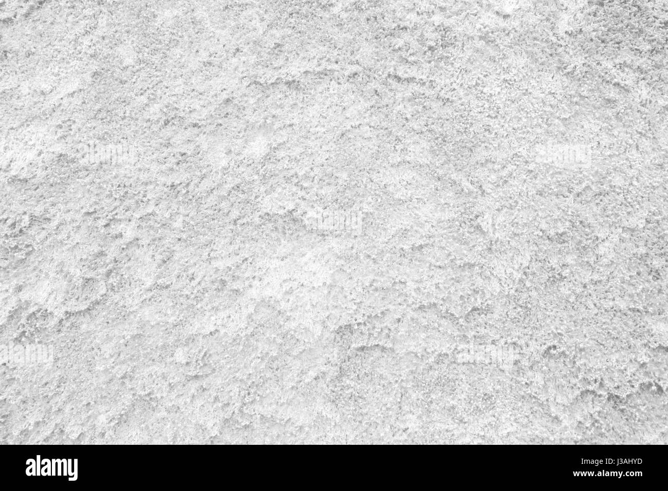 White Moss Wall Texture Background Stock Photo - Alamy