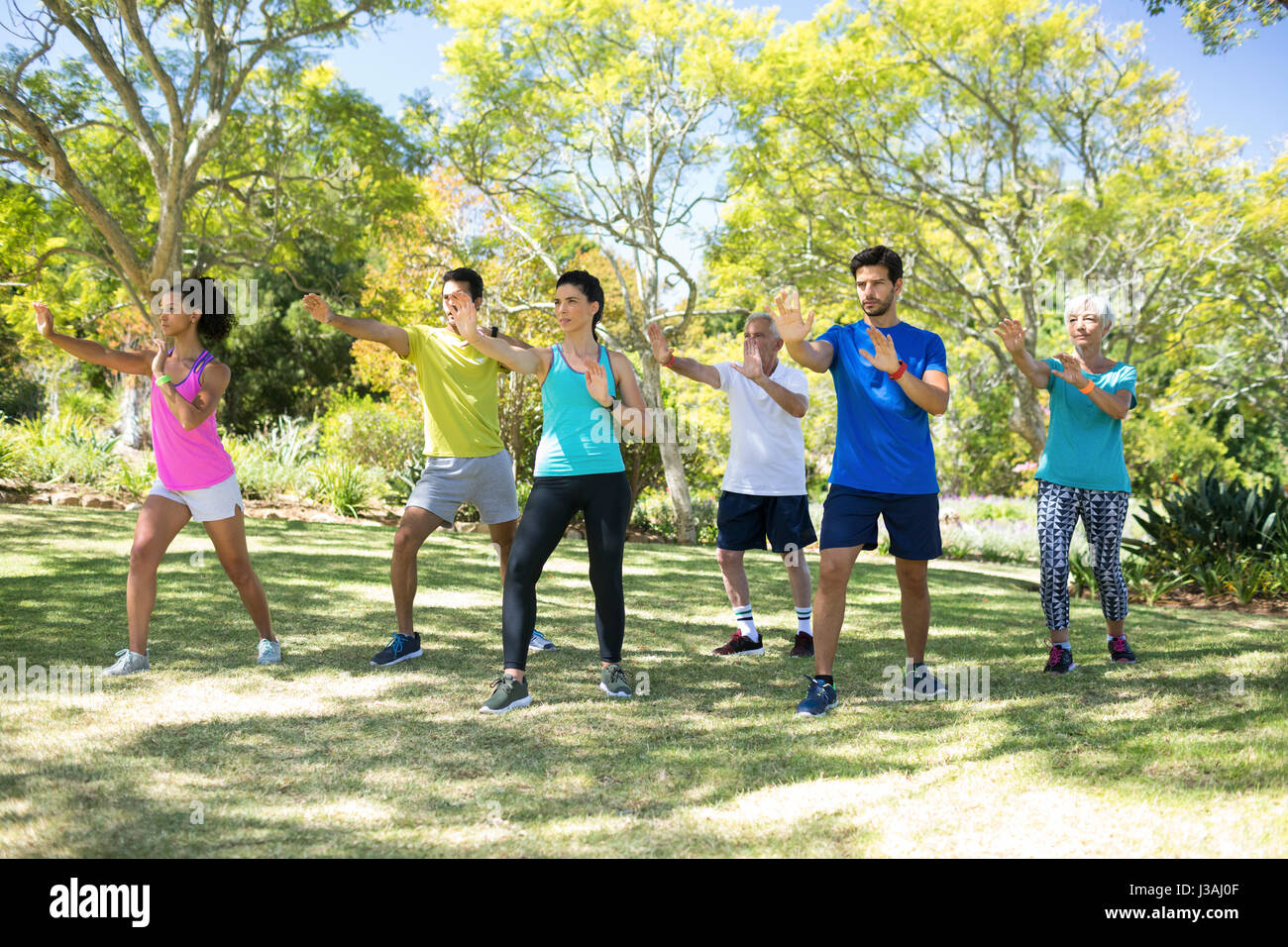Group of people exercising in the park on a sunny day Stock Photo - Alamy