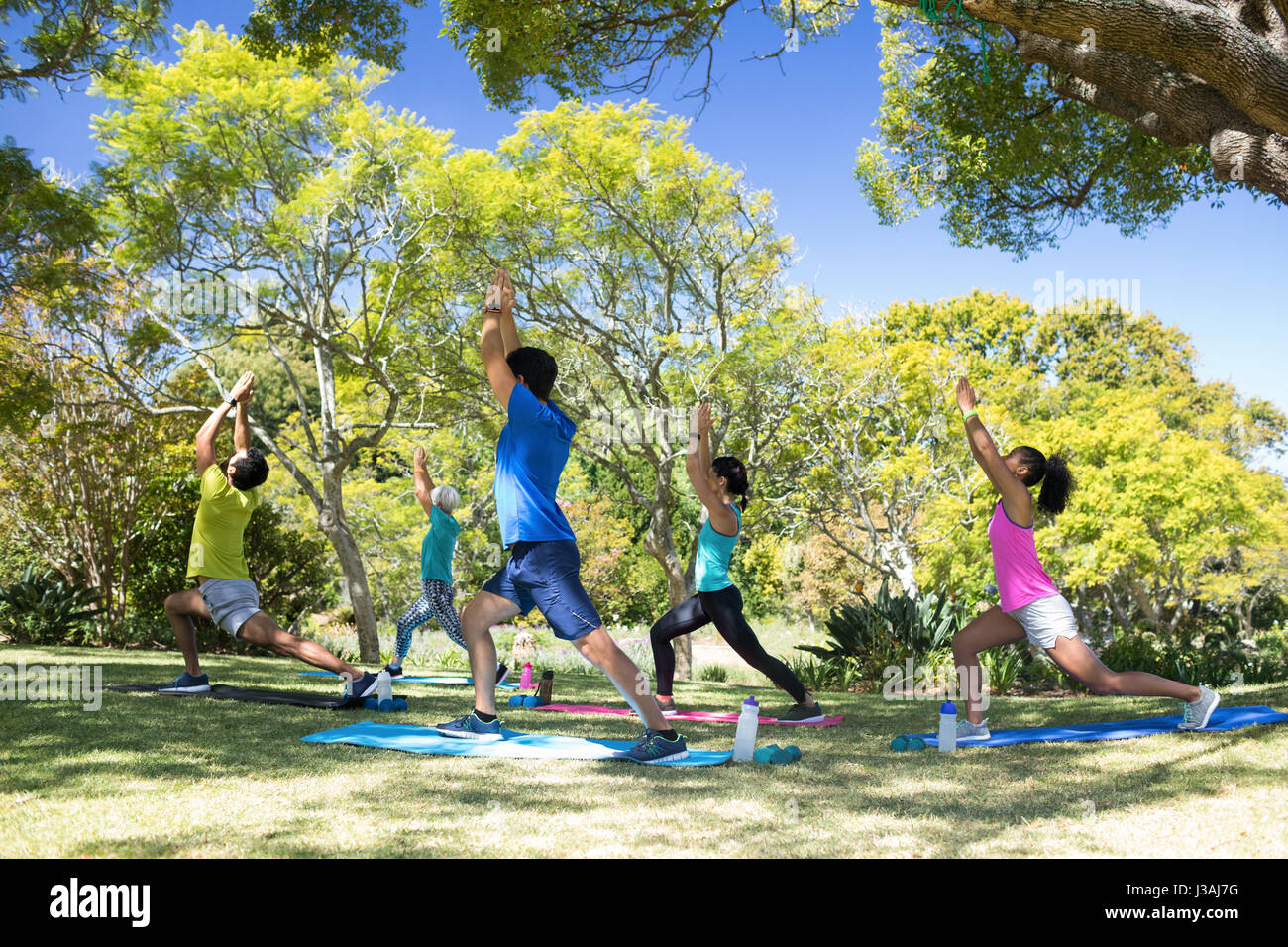 Group of people performing stretching exercise in the park on a sunny ...