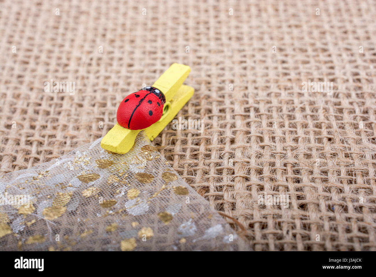 Ladybug pin hi-res stock photography and images - Alamy