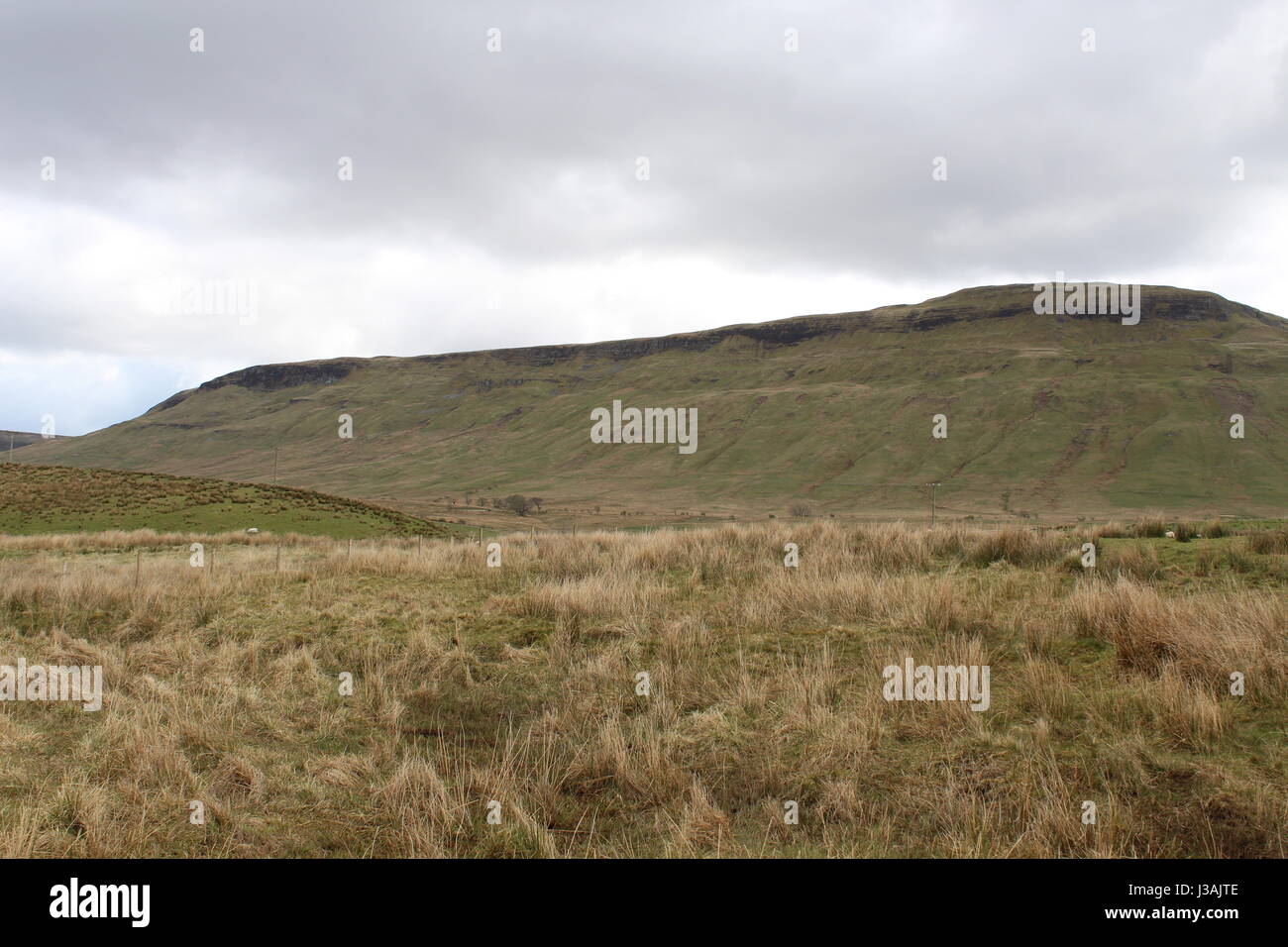 Fintry village hi-res stock photography and images - Alamy