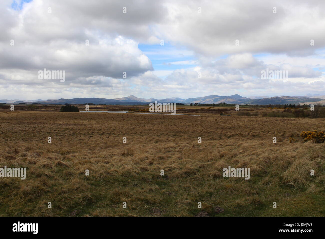 open moor with mountains in background, scotland Stock Photo - Alamy