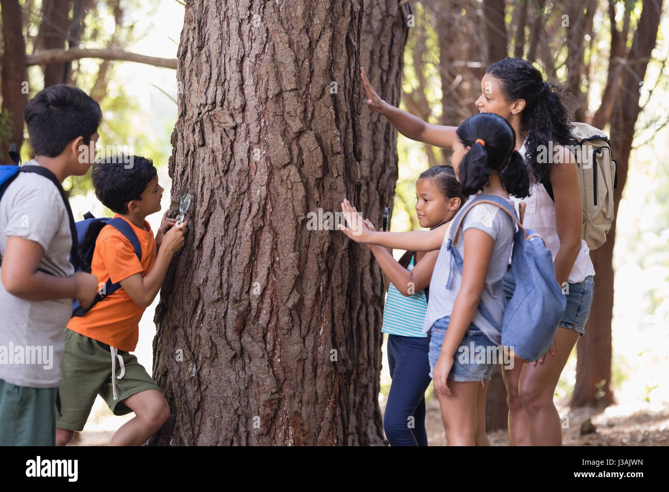 Teacher and children touching tree trunk in forest during field trip ...