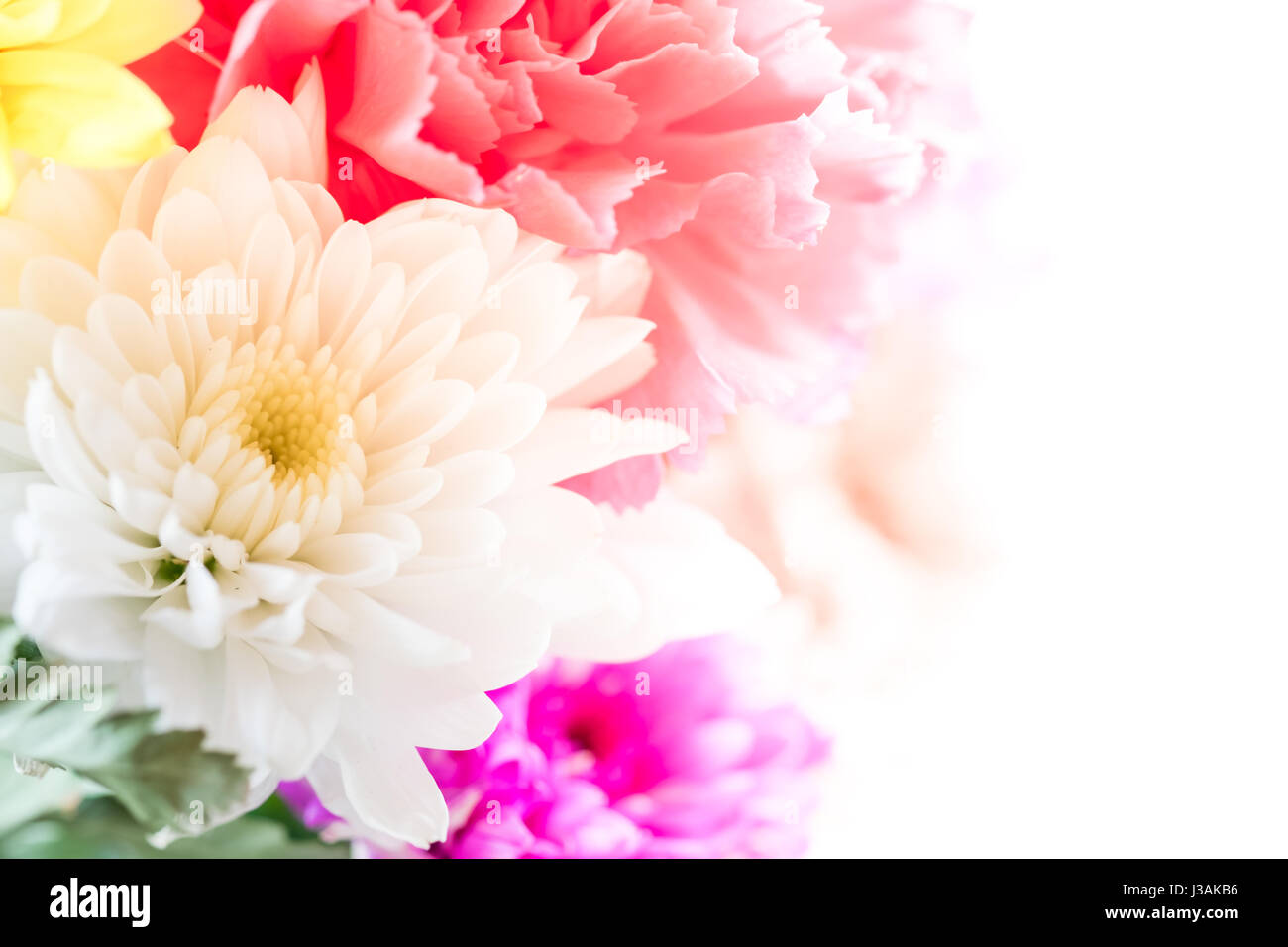 Flower background with sample space Stock Photo - Alamy