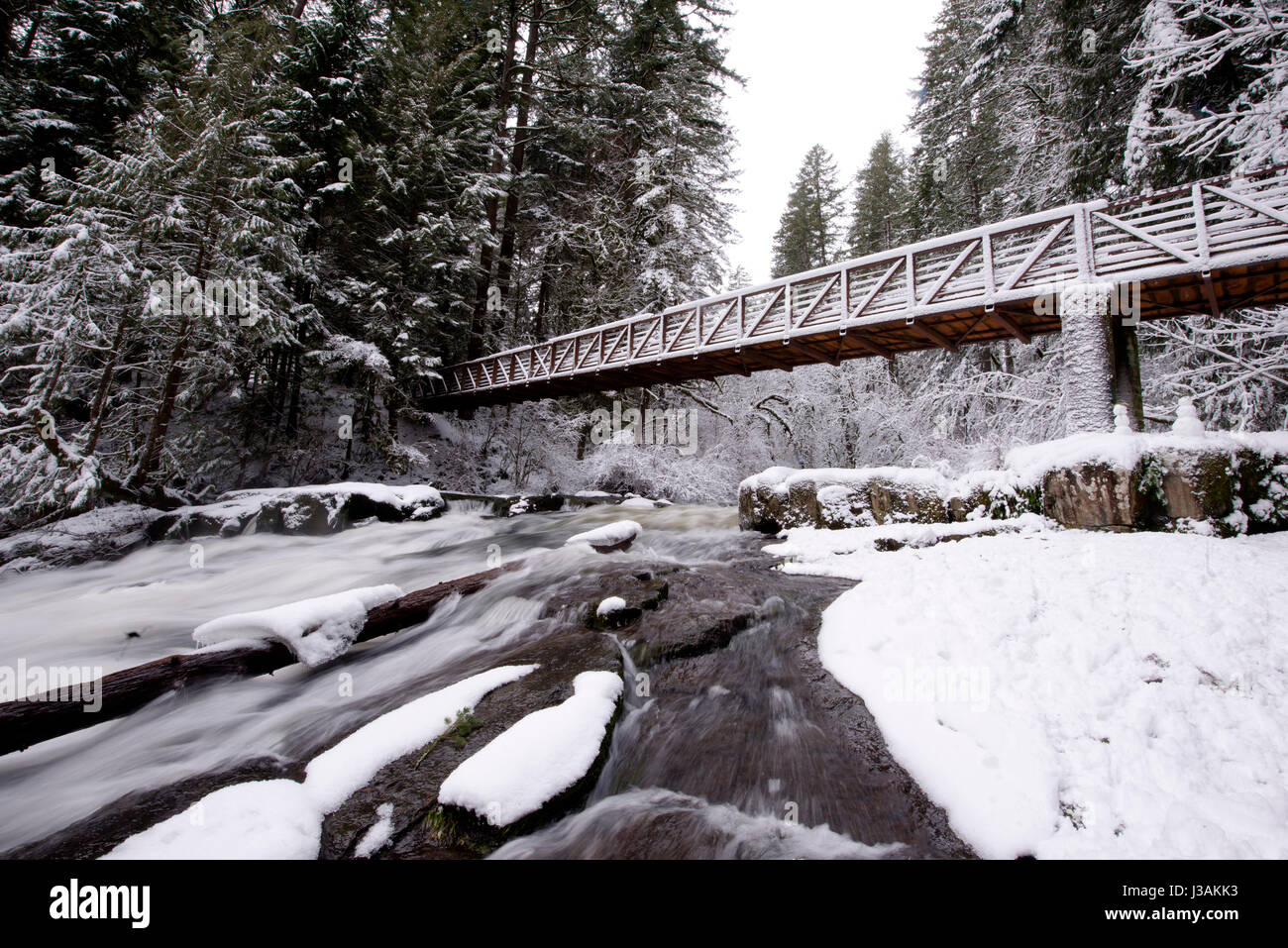 An elegant narrow pedestrian bridge with high rails through a mountain ...