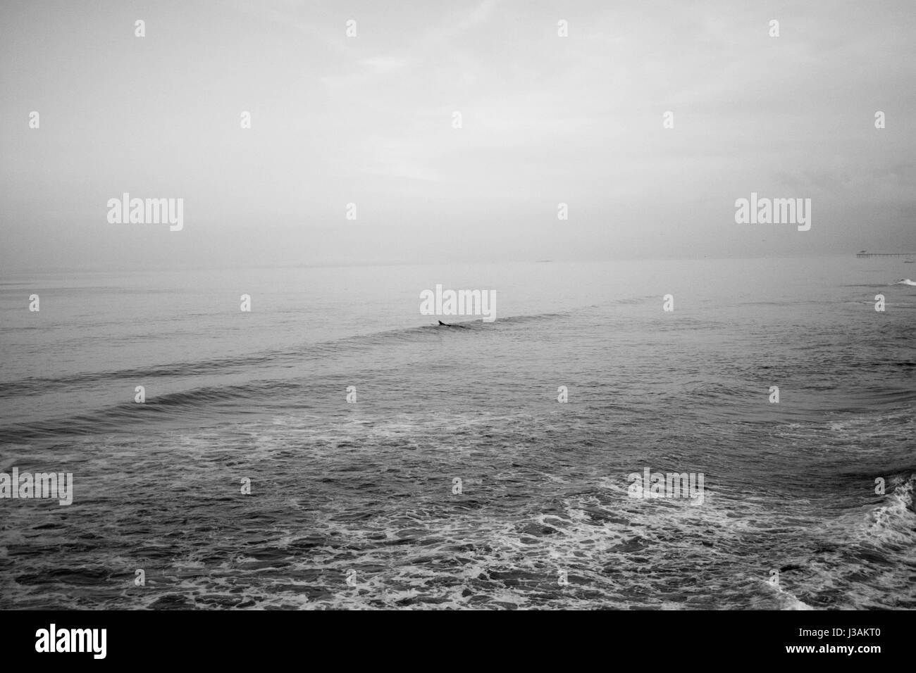 Happy beach photo Black and White Stock Photos & Images - Alamy
