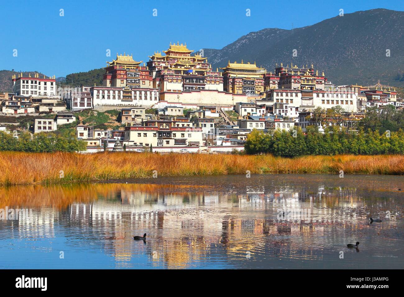 Songzanlin Temple also known as the Ganden Sumtseling Monastery, is a ...